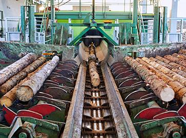 SPRINGER Mechanical Engineering. The No. 1 for the wood industry.